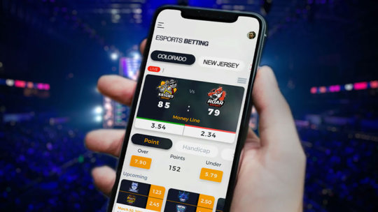Esports Betting 2024 → Top Esport Bets, Bonuses & Operators