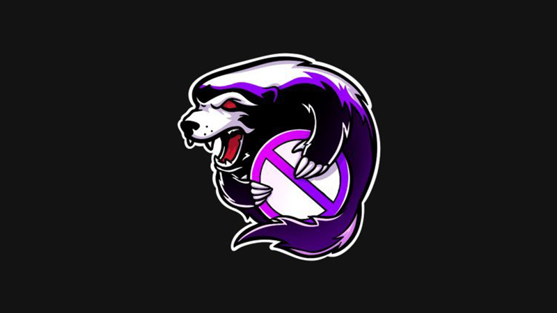 Best CSGO Teams » Top 10 Pro Teams in the World【2023】