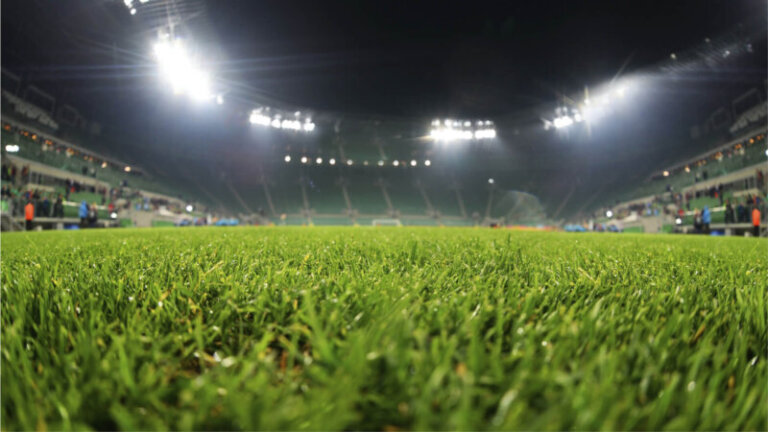 Goal Line Bet Meaning Explained » What is Goal Line Betting?