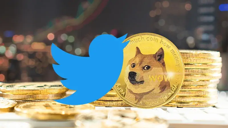 Dogecoin Surges as Elon Musk Replaces Twitter Logo with the Crypto’s ...